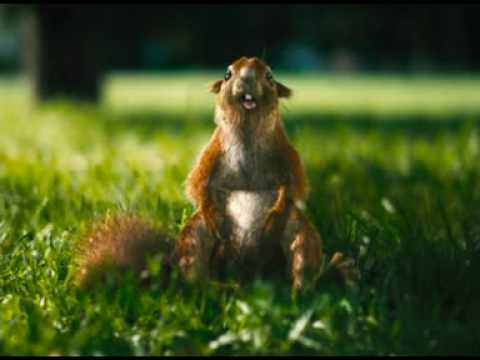More Nuts - Snickers - YouTube