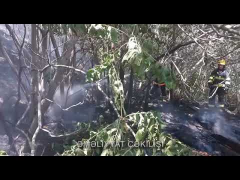 FHN Mətbuat xidmətinin məlumatı (video, foto)