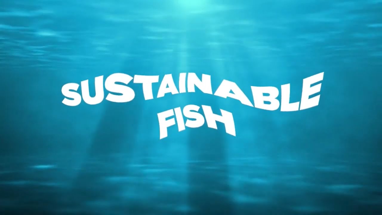 Sustainable Fish Advert - Derick Greaves - YouTube