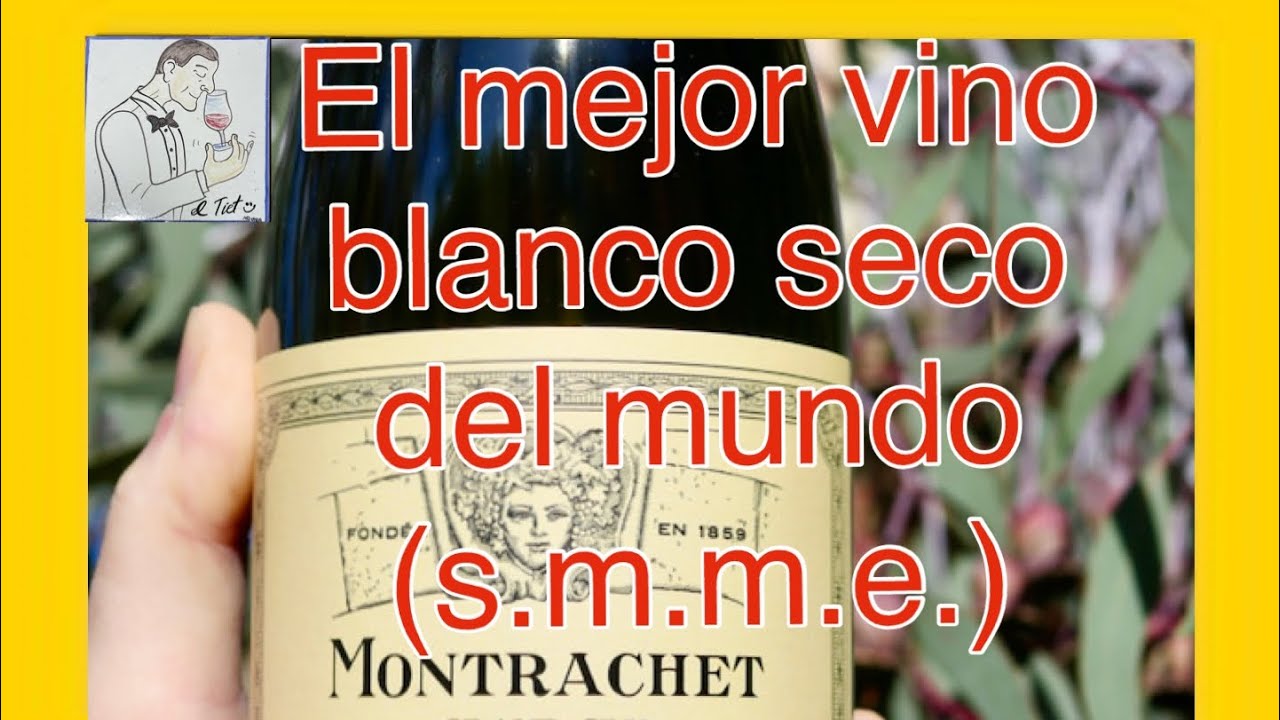 (105) EL MEJOR VINO BLANCO SECO DEL MUNDO (según mi modesto entender ...