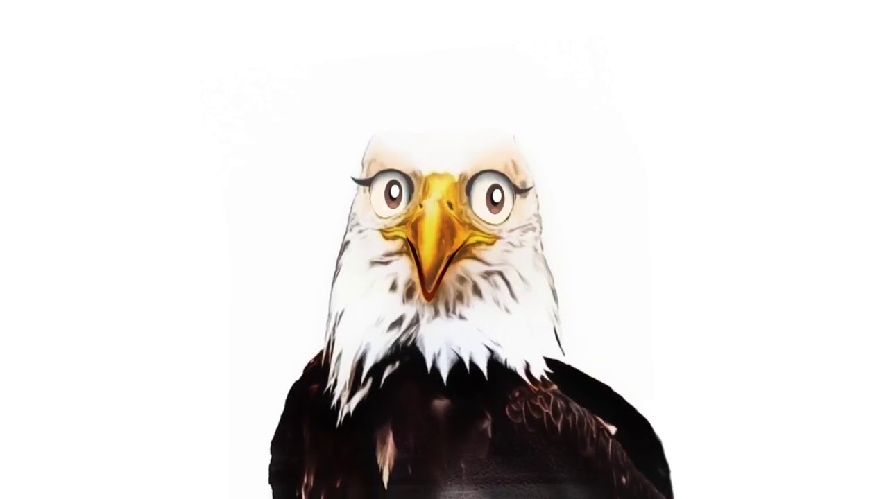 The Animal Sounds Fish Eagle Sounds Animation - YouTube