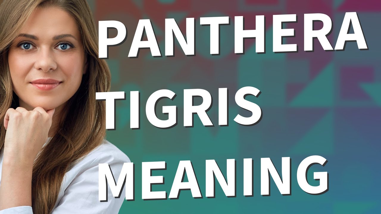 Panthera tigris | meaning of Panthera tigris - YouTube