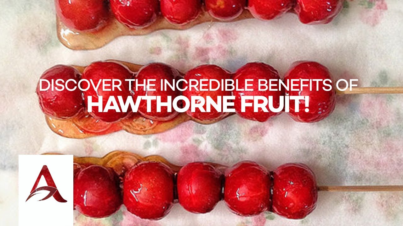 Discover the incredible benefits of Hawthorne Fruit! 🍎 - YouTube