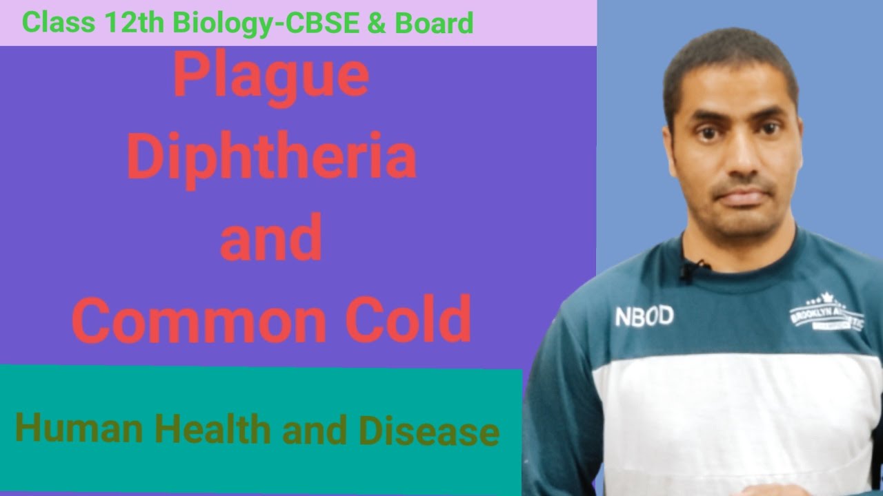 Plague, Diphtheria and Common Cold Class 12th Biology - YouTube