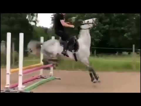 EN KOMİK AT KAZALARI 2022 GÜLMECE EĞLENCE
