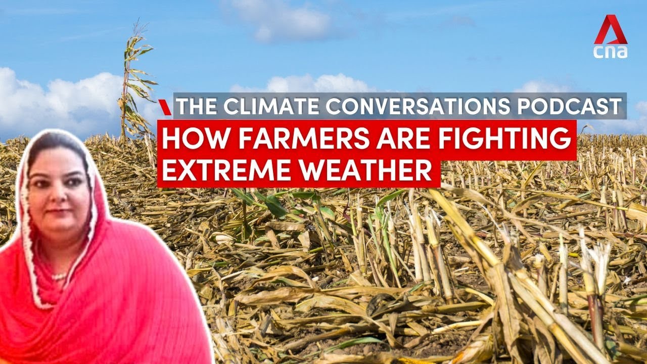 How farmers are fighting back against extreme weather | The Climate ...