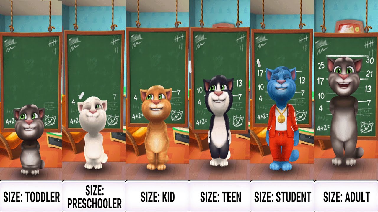 My Talking Tom 6 Different sizes of Talking Tom and My Talking Tom all ...