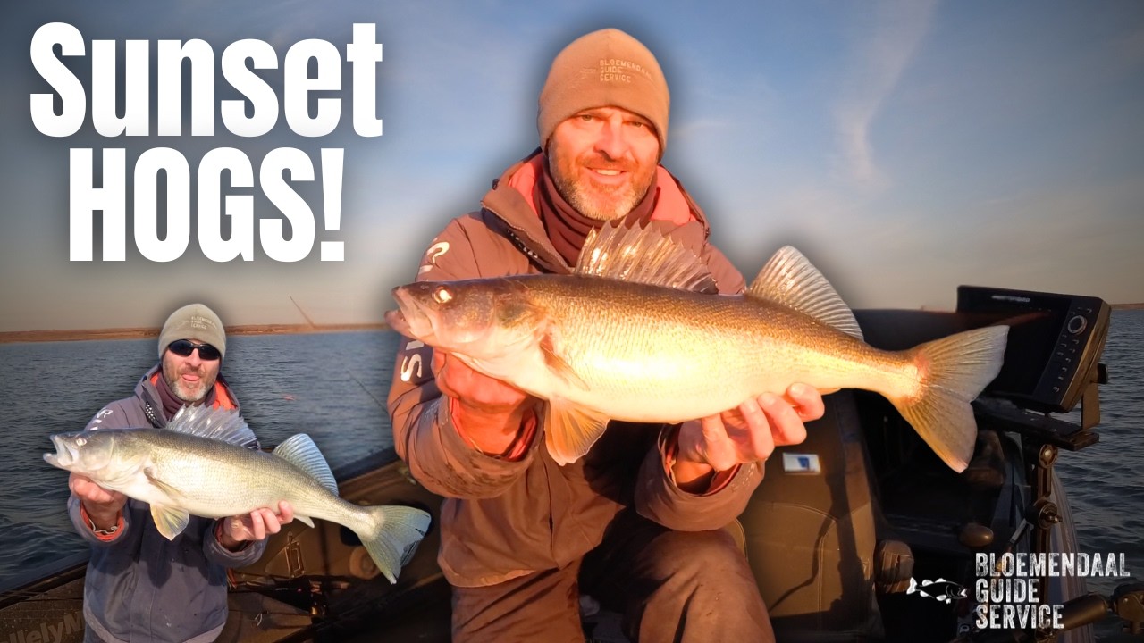 November Walleye: Sleep In, Catch BIG! (Sunset Success) - YouTube