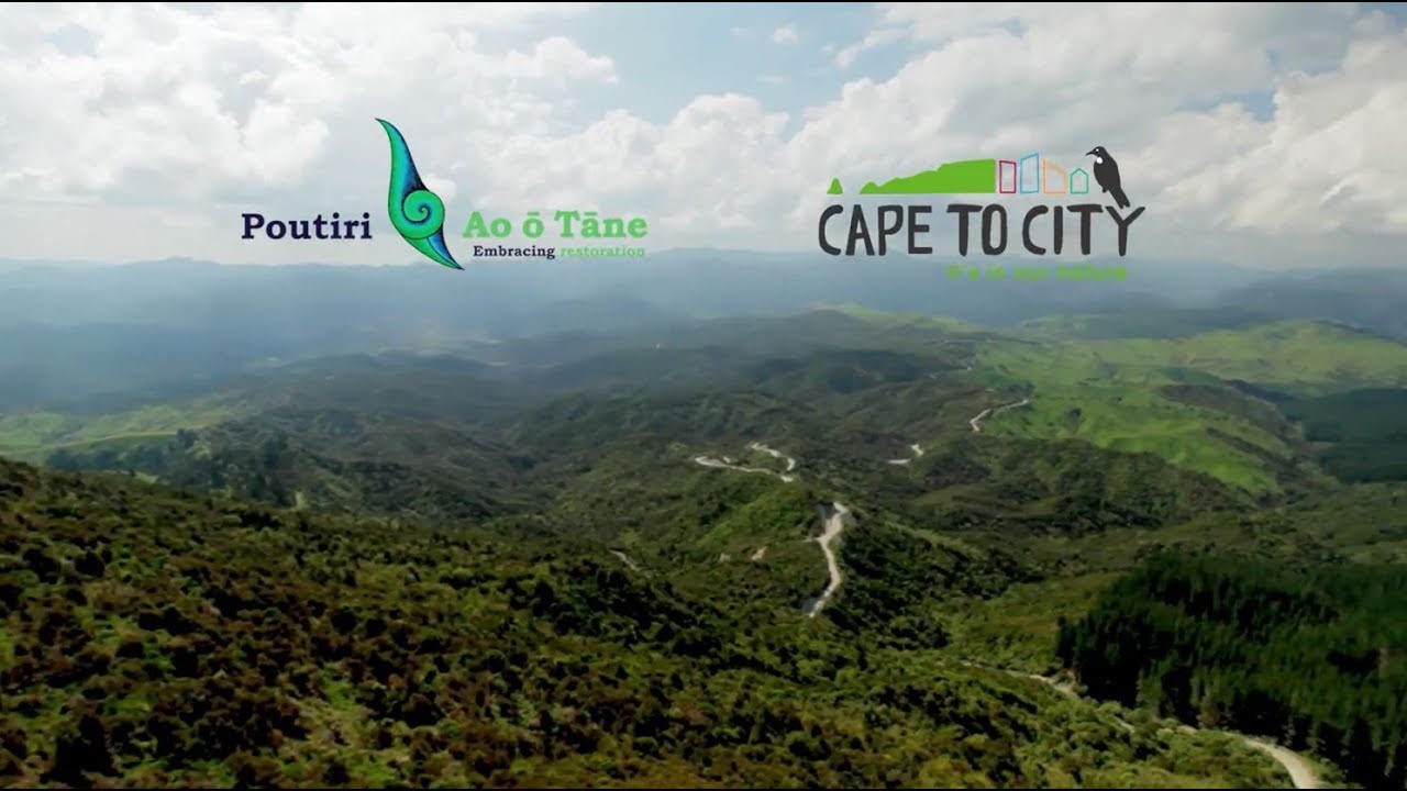 Cape to City and Poutiri Ao ō Tāne - YouTube