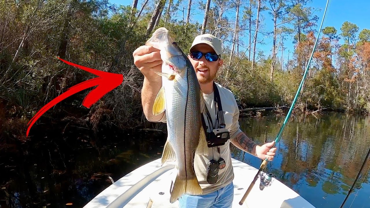 MY MOST ***EPIC*** CATCH EVER IN ALABAMA - YouTube