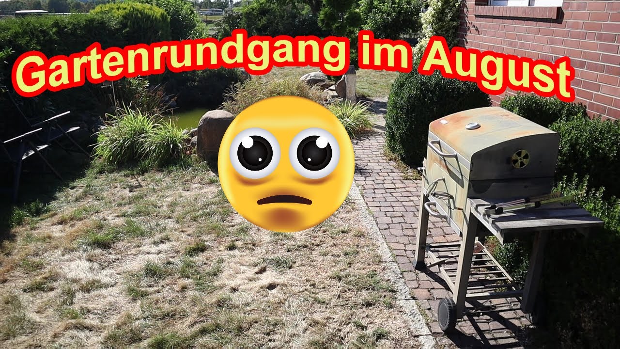 Gartenrundgang im August - Mein Garten sieht echt schlimm aus! Das ist ...