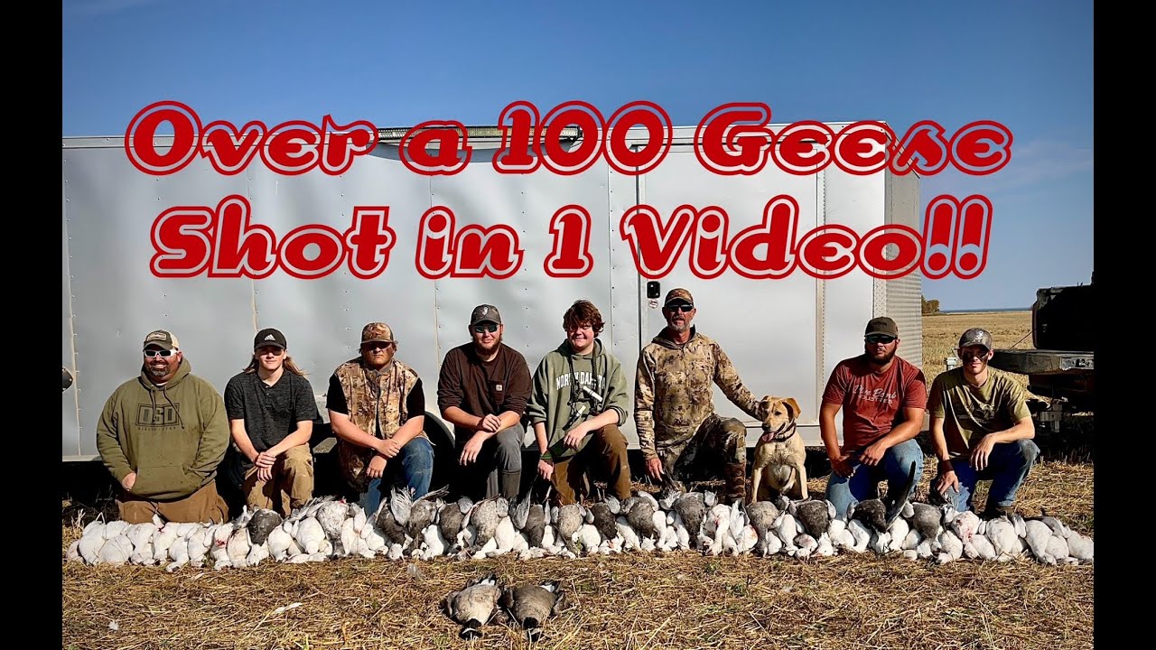 Over 100 Geese Shot in 1 Hour! Crazy duck & goose hunt! - YouTube