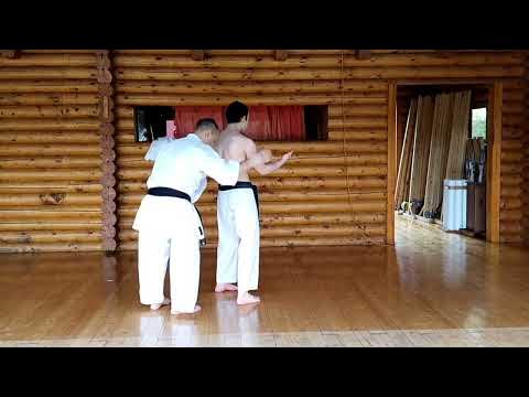 Sanchin kata kitae training Uechi ryu Karate do Hozonkai / Dojo Seidokan Open Festival Istra ...