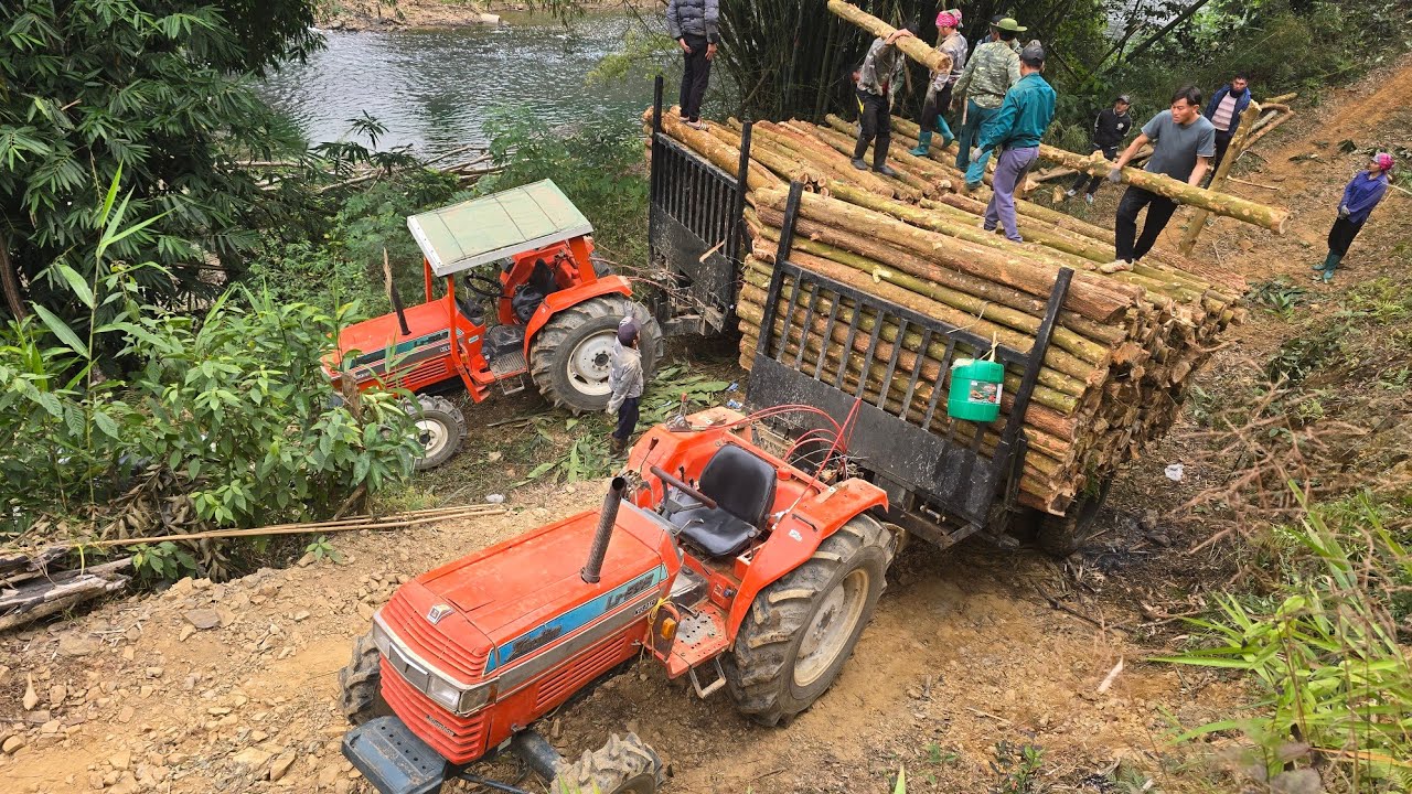 Tractors transport wood in narrow areas and difficult turning yards ...