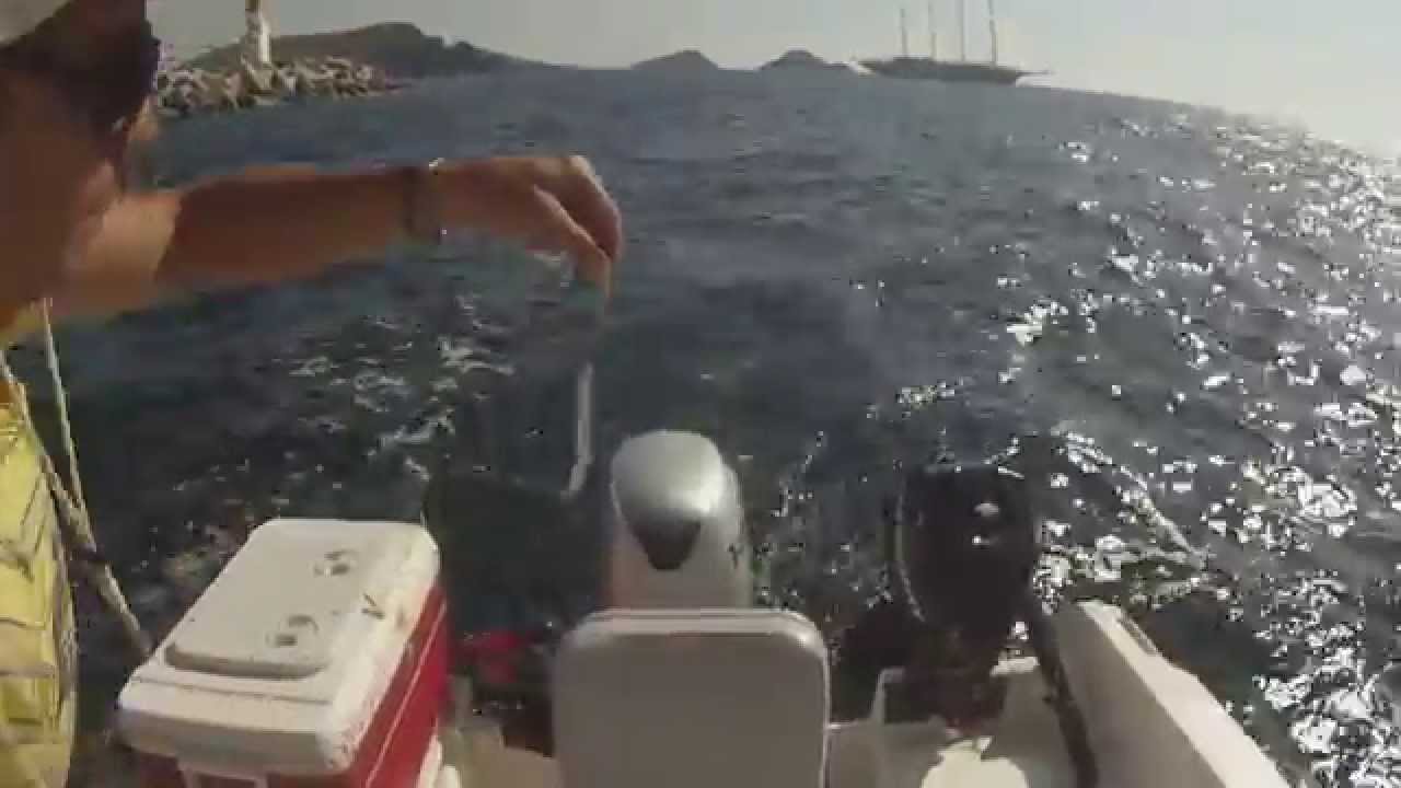ΖΑΡΓΑΝΕΣ ΓΙΑ ΔΟΛΩΜΑ! Η ΑΡΜΑΤΩΣΙΑ & ΤΟ ΨΑΡΕΜΑ! - YouTube