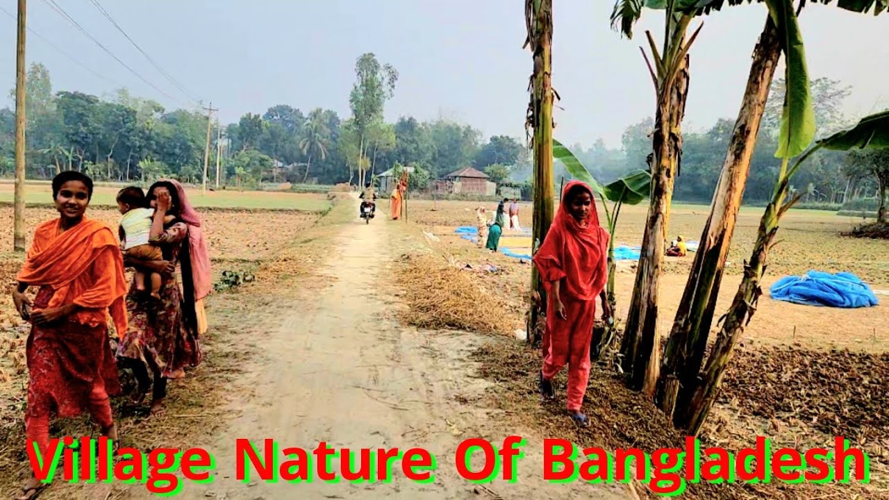 Bangladesh Village Life & Beautiful Village Nature || সুন্দর গ্রামের ...