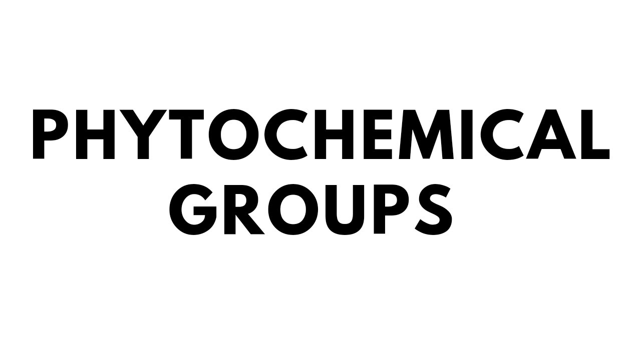 Phytochemical groups| Types And Examples| Alkaloids - YouTube