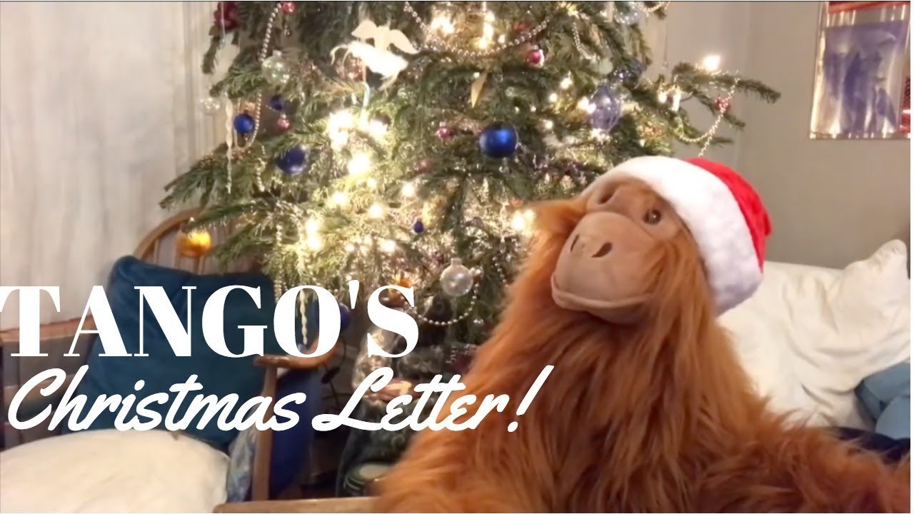 Santas letter - Tango writes his Christmas letter to Santa - YouTube