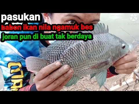 Mancing Jatiluhur Terbaru || Kirain Ikan Sapu Sapu || Ternyata Ikan Nila Babon !!