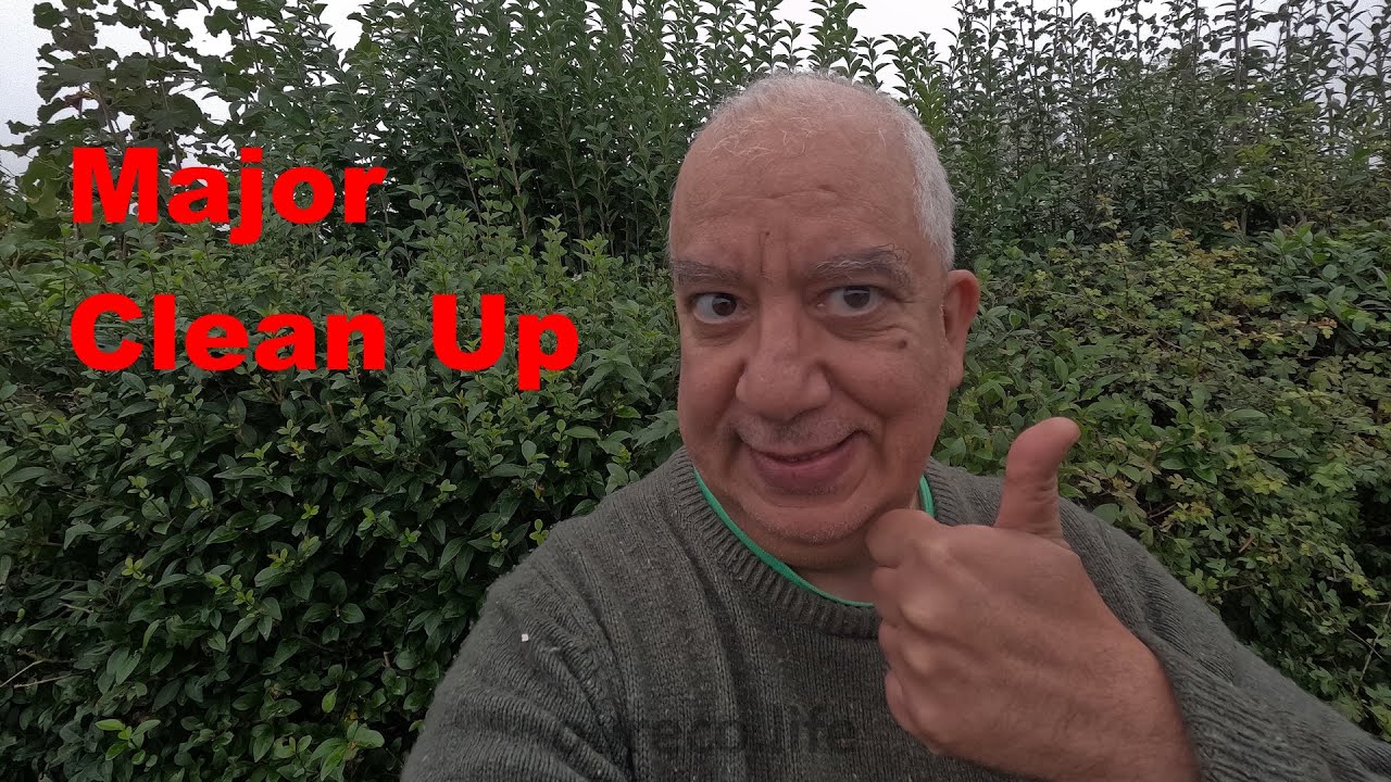 Major clean up ~ Allotment gardening diary for Early 2023 - YouTube