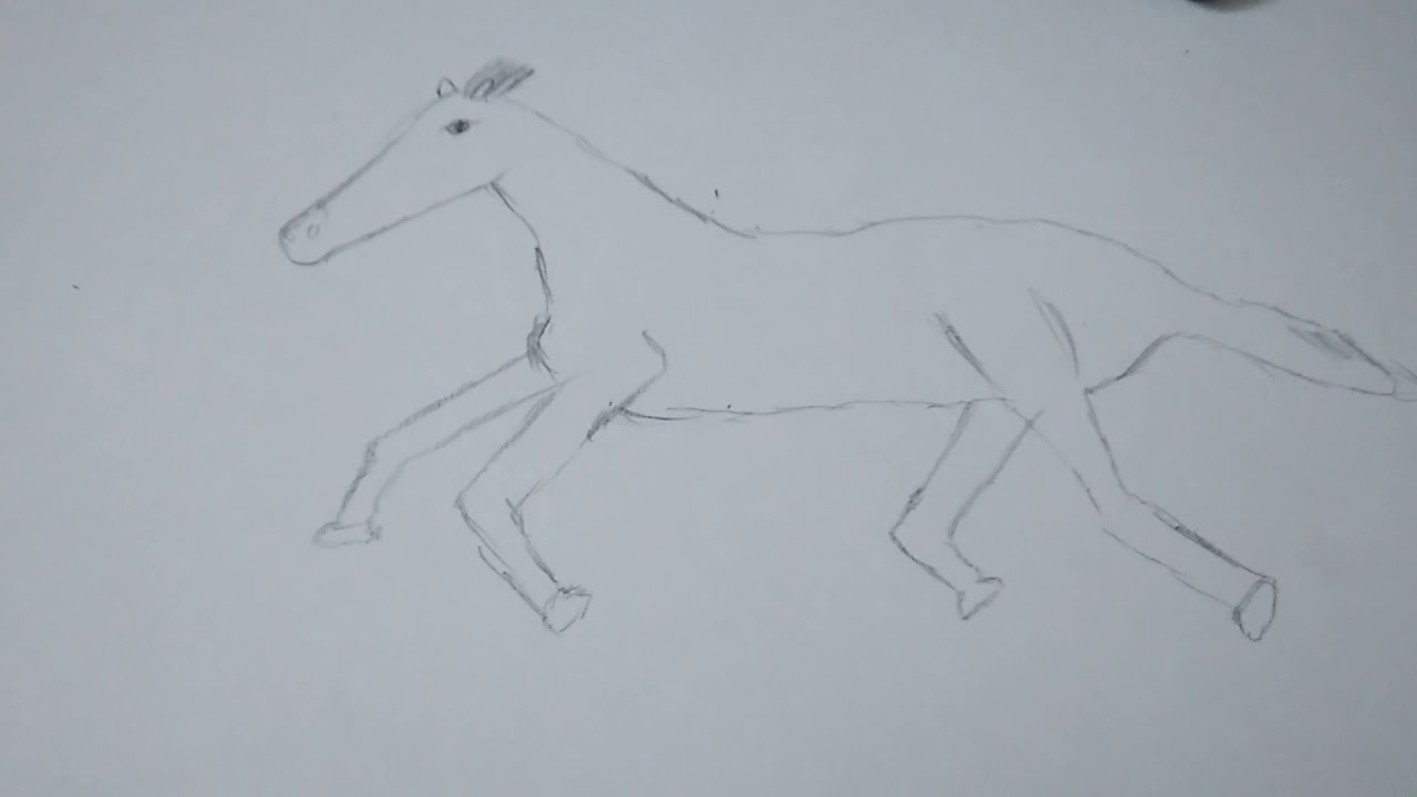 How to draw a galloping horse - YouTube