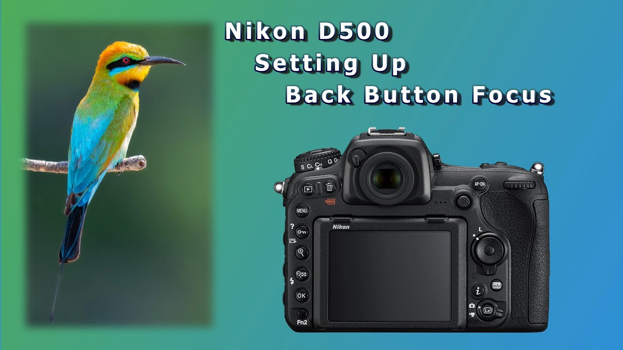 Nikon D500 Setting Up Back Button Focus - YouTube