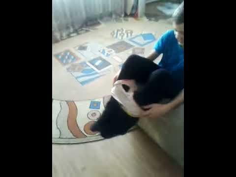 Мальчик в трусах смотреть явсем!!! :D - YouTube