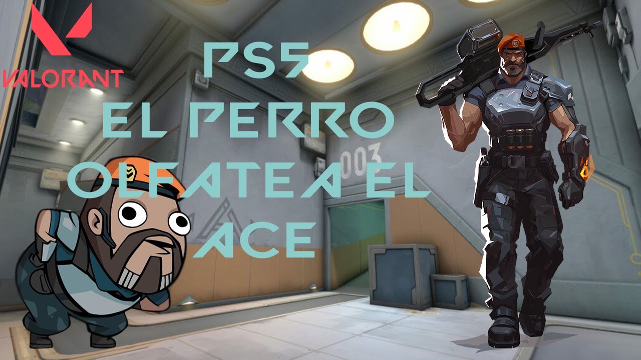 VALORANT EL PERRO OLFATEA EL ACE PS5 - YouTube