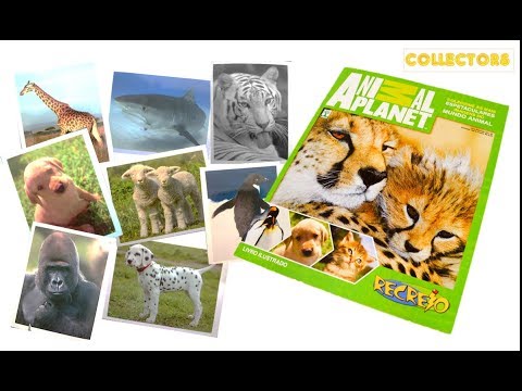 ANIMAL PLANET - FULL STICKERS COLLECTION - YouTube
