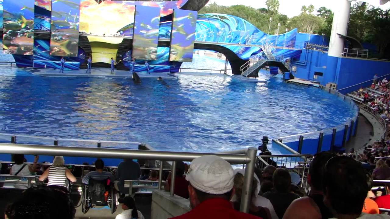 Vacation 2012: SeaWorld Shamu's One World pt1 - YouTube