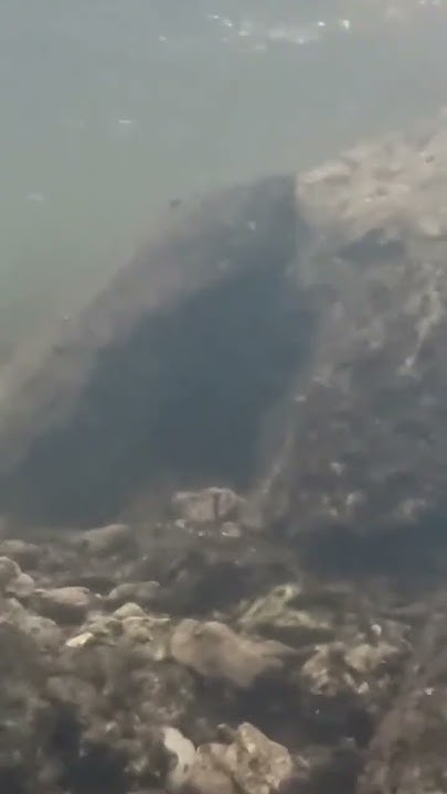 Under a stream. Filters: cartoon, black sketch, and real under water shots. - YouTube