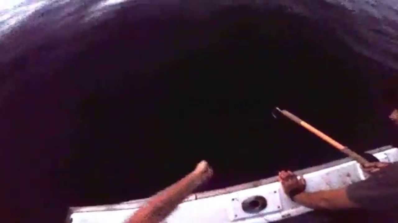 Kona Hawaii Ika Shibi - YouTube