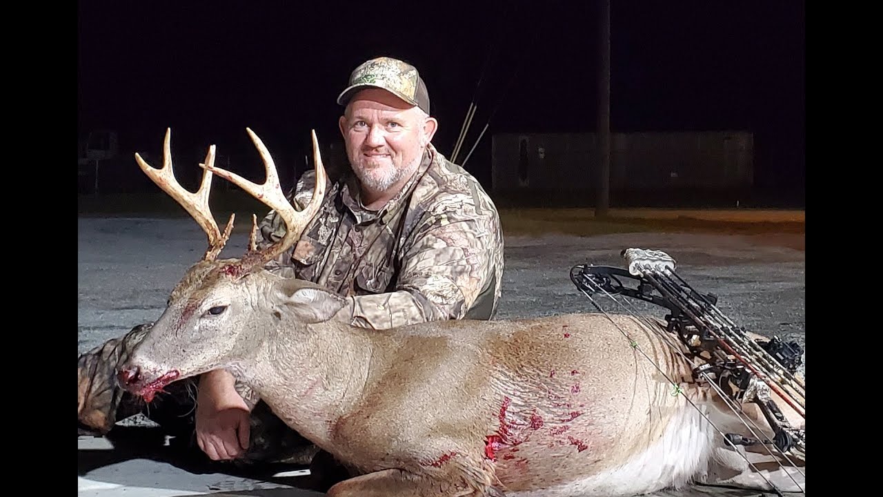 Bowhunt for "Fat Boy" - YouTube