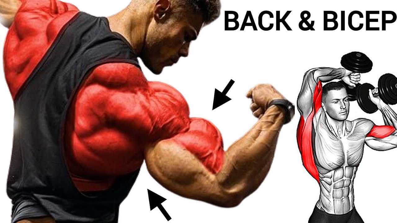 best back and bicep workout at gym - back biceps - YouTube