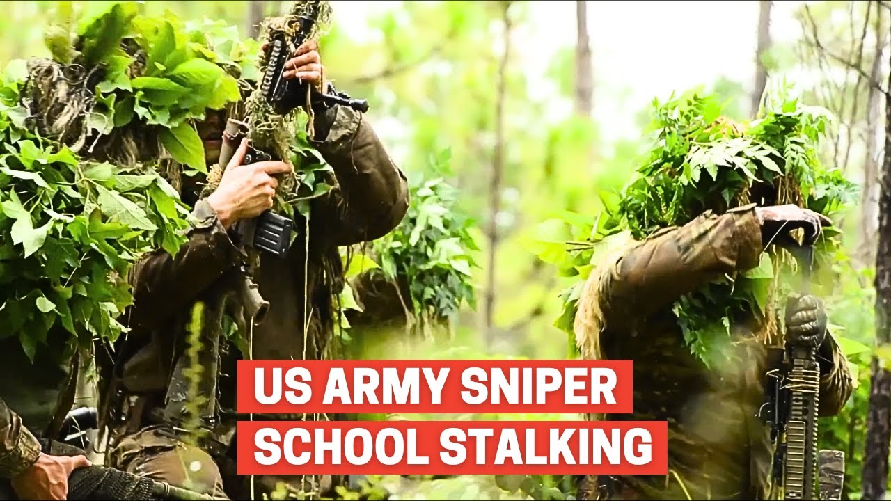 Mastering Forest Stalking: What Do Soldiers Learn at the U.S. Army ...