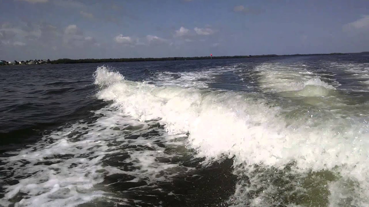 Dolphins in Pine Island Fl. 1 - YouTube