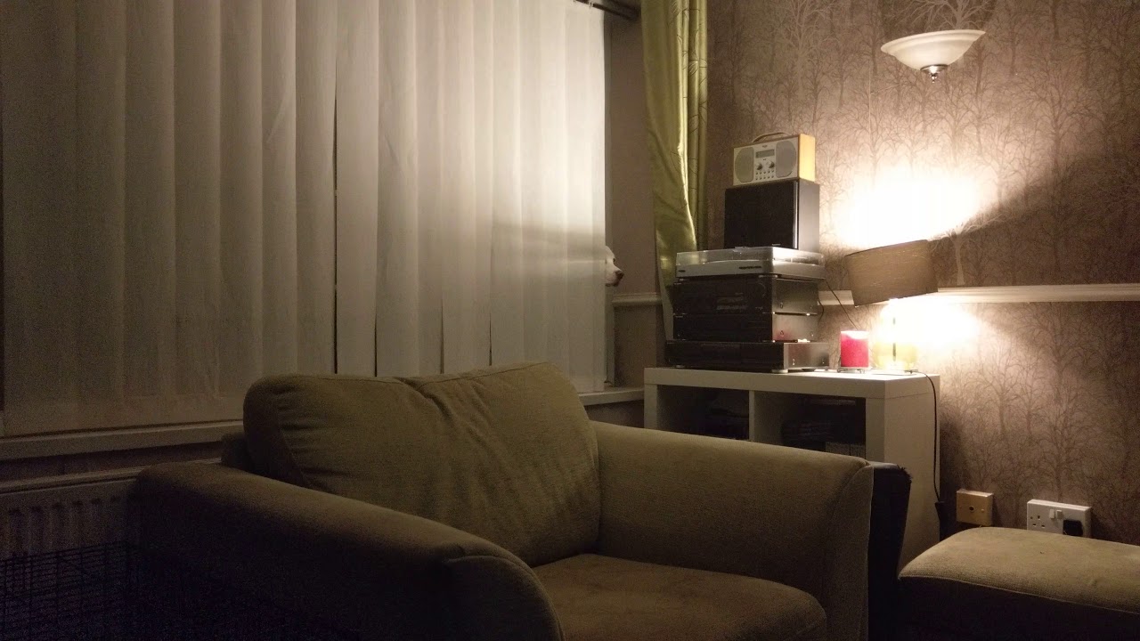 Heidi the Beagle scared by fireworks. - YouTube
