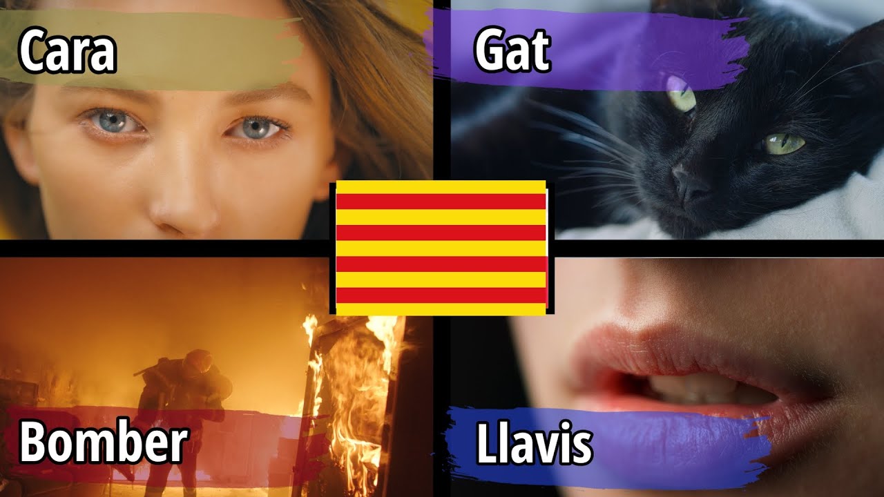 30 Minutes of Comprehensible Input Catalan | Learn Catalan Vocabulary ...