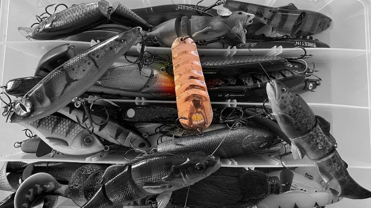 De gamle gedde blink er bedst! - YouTube