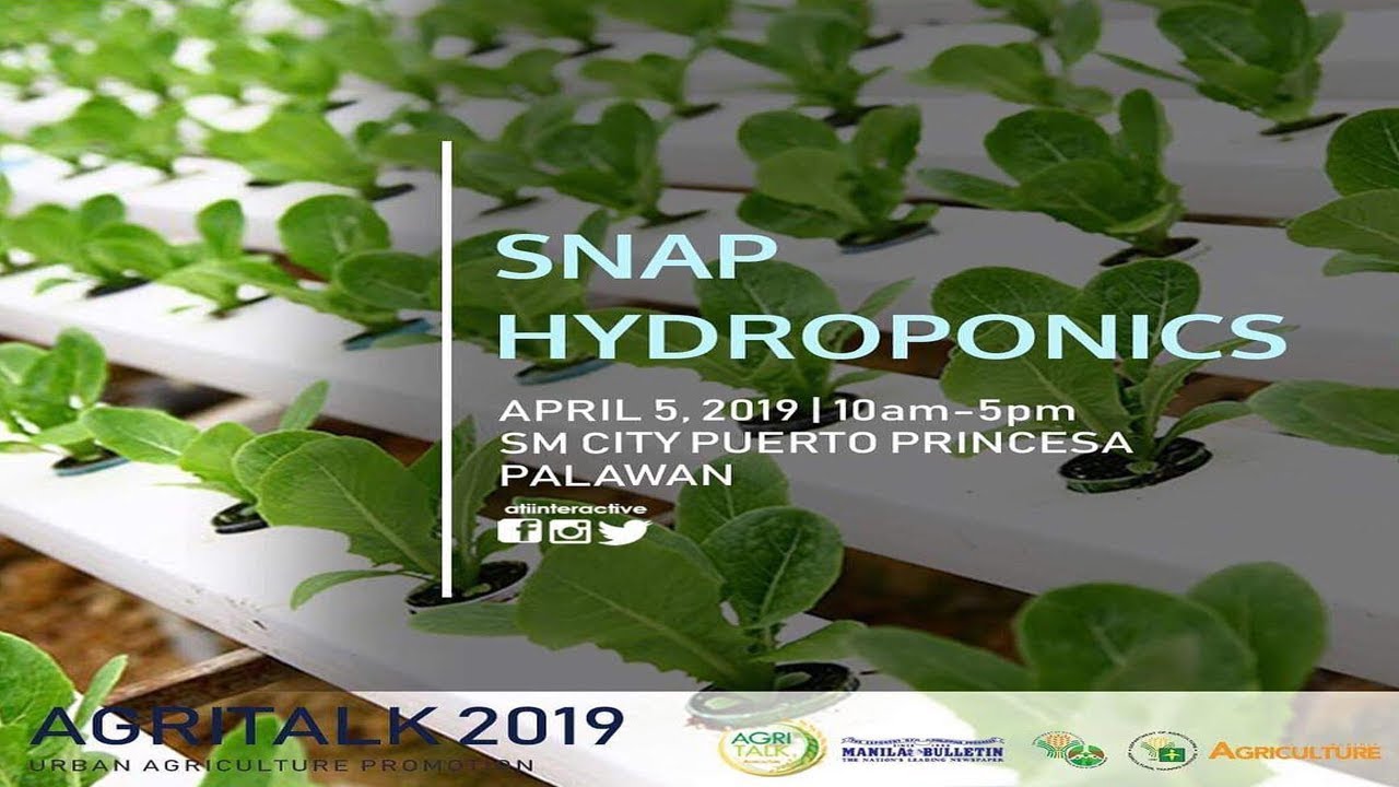 Agritalk 2019 | Puerto Princesa City | SNAP Hydroponics - YouTube