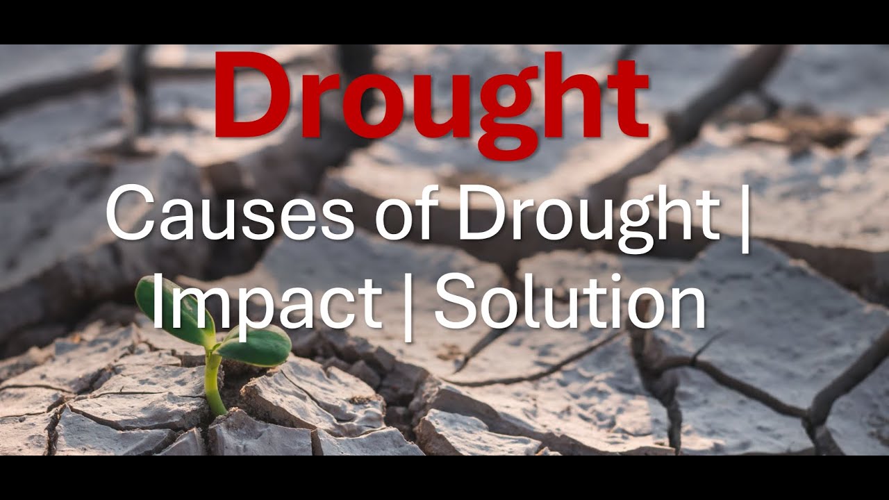 Drought | Causes of Drought | Impact | Solution | Natural disasters ...