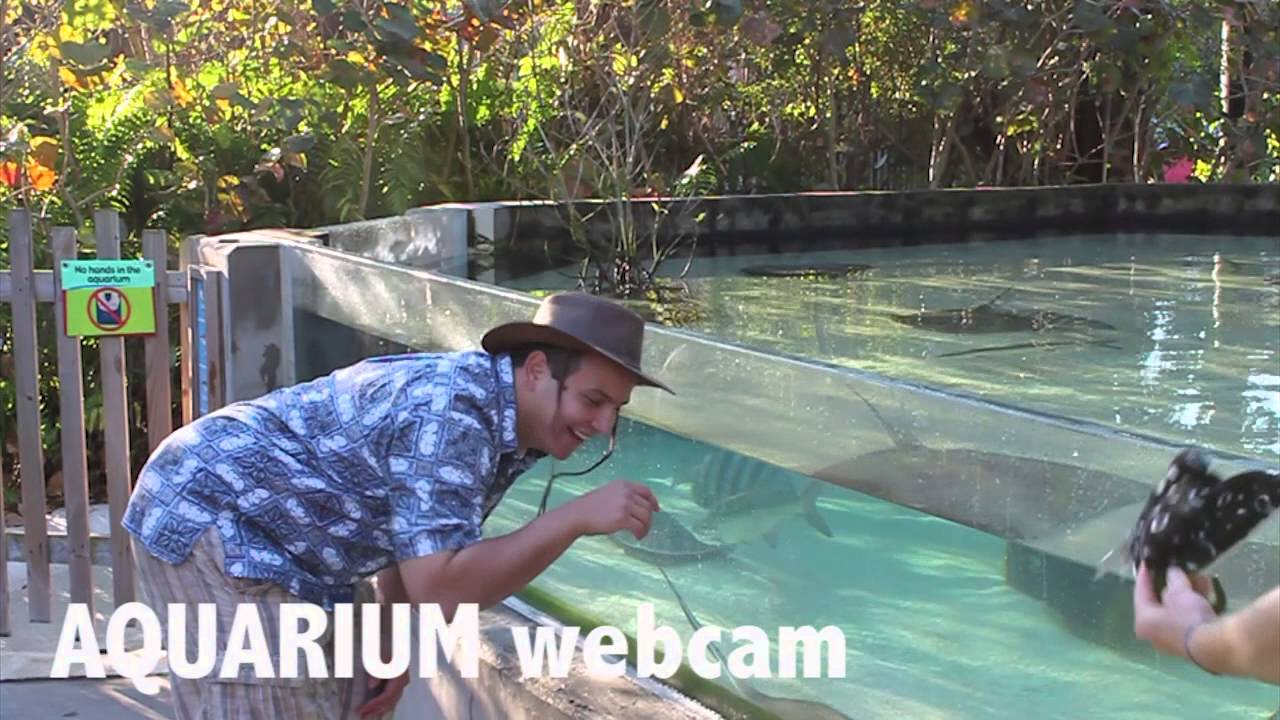 Channel ZOO News with Rob and Jonny (at Brevard Zoo) - YouTube