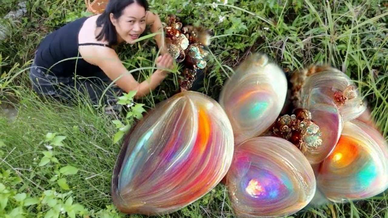 Incredible golden pearls! Girl's Treasure Hunt: Giant Clams Produce ...