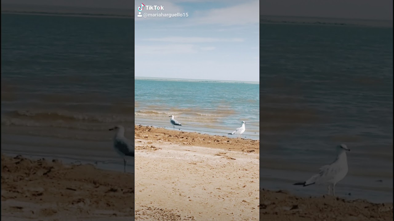 Lake Meredith, Colorado - YouTube