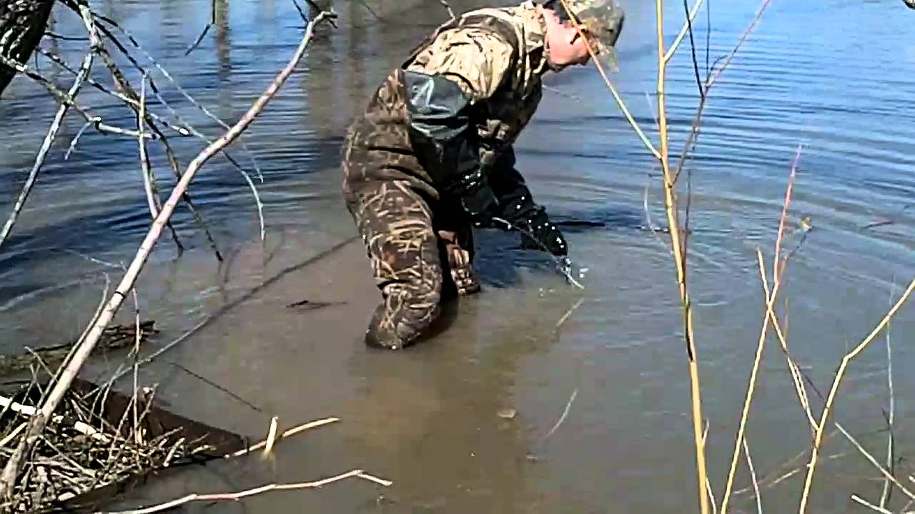 Beaver Trapping in Kansas pt#2 - YouTube