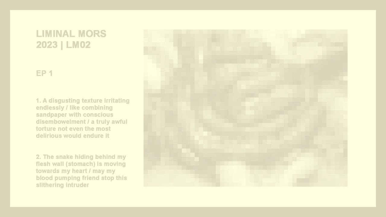 LIMINAL MORS - Disgusting Texture / Hiding Behind My Flesh Wall [Full ...