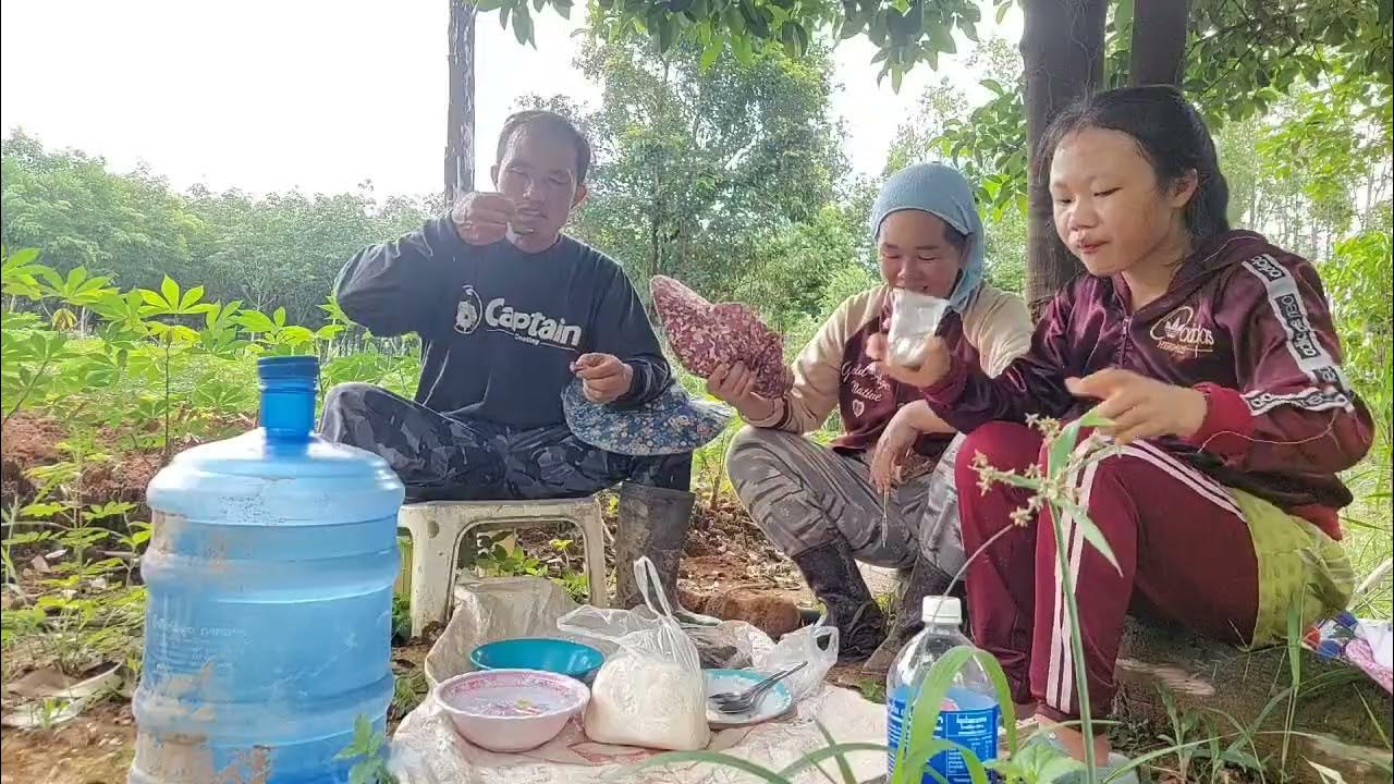 hnub no mus Tua ntxhi thiab vaj neeb cov teb qos ntoo - YouTube