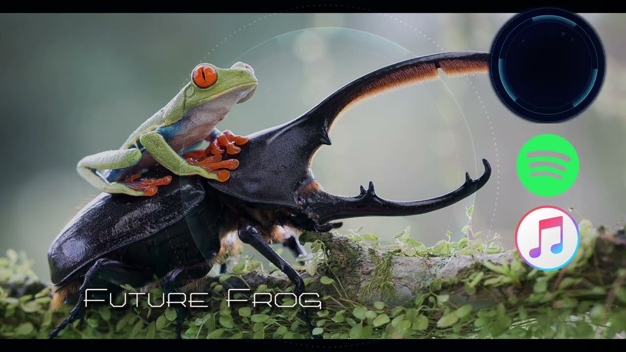 Future Frog - Electro/Dance - Royalty Free Music - YouTube