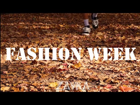 Zayka - Fashion week  (VISUALIZER CLIP)