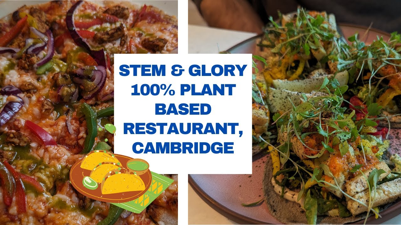 Plant-Based Paradise | Dining at Stem & Glory in Cambridge, UK | Vegan restaurant - YouTube